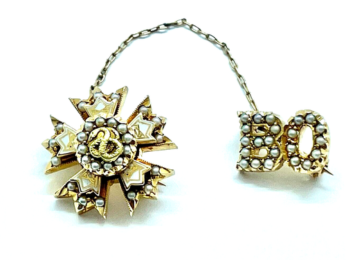 14K YELLOW GOLD SIGMA NU FRATERNITY SORORITY BADGE-PIN & GUARD W/SEED ...