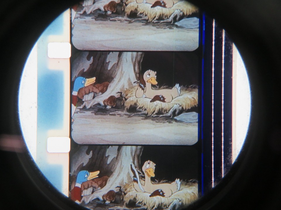 16mm THE UGLY DUCKLING (1939)--Walt Disney cartoon short. LPP / Estar ...