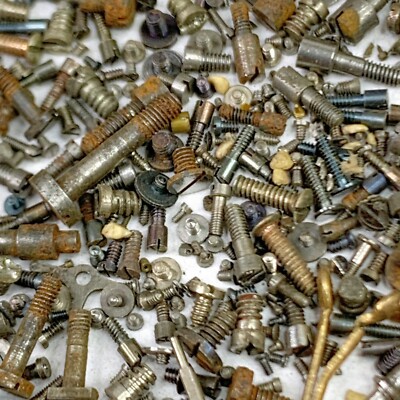 100 Watch Screws Pocket Wrist Blue Silver Part Watchmaker Repair Job ...