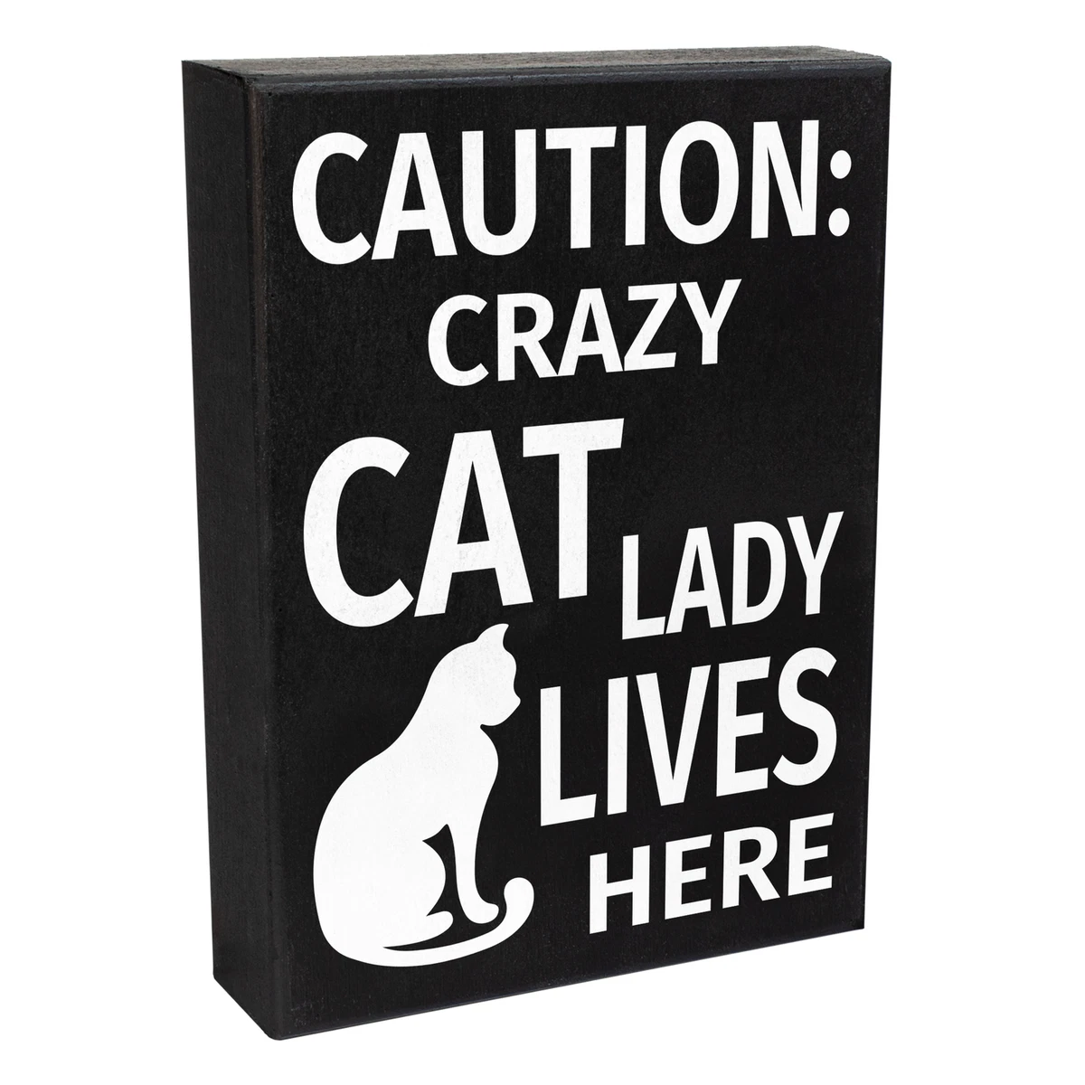 Crazy Cat Lady Funny