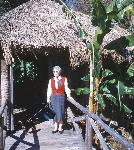 Vintage Stereo Realist Photo 3D Slide MATURE WOMAN Visiting Hut | eBay