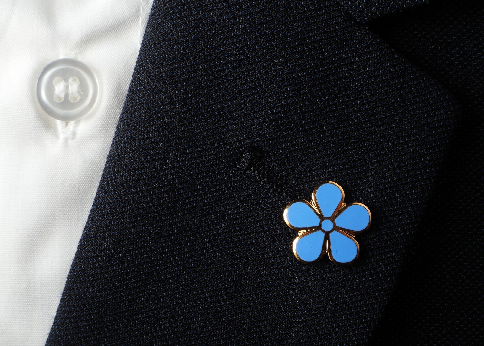 Forget Me Not (LARGE) - Masonic Lapel Pin LP18 | eBay