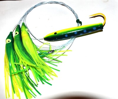 Saltwater Fishing - Daisy Chain