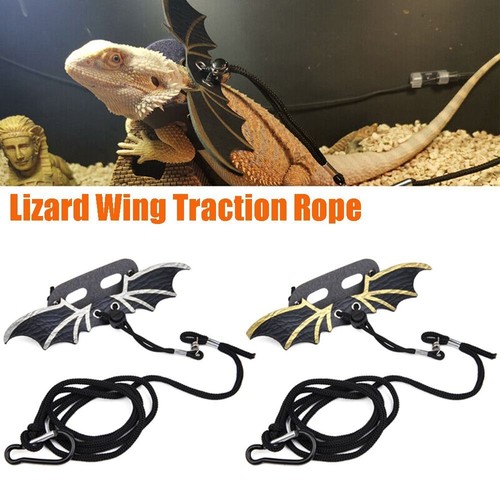 Training Strap Walking Harness Lizard Strap Pet Supplies Reptile ...