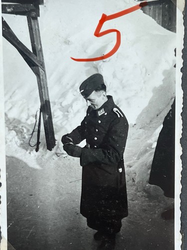 German 5 X Foto ww2 Königsberg Russland Russia From Photo album ...