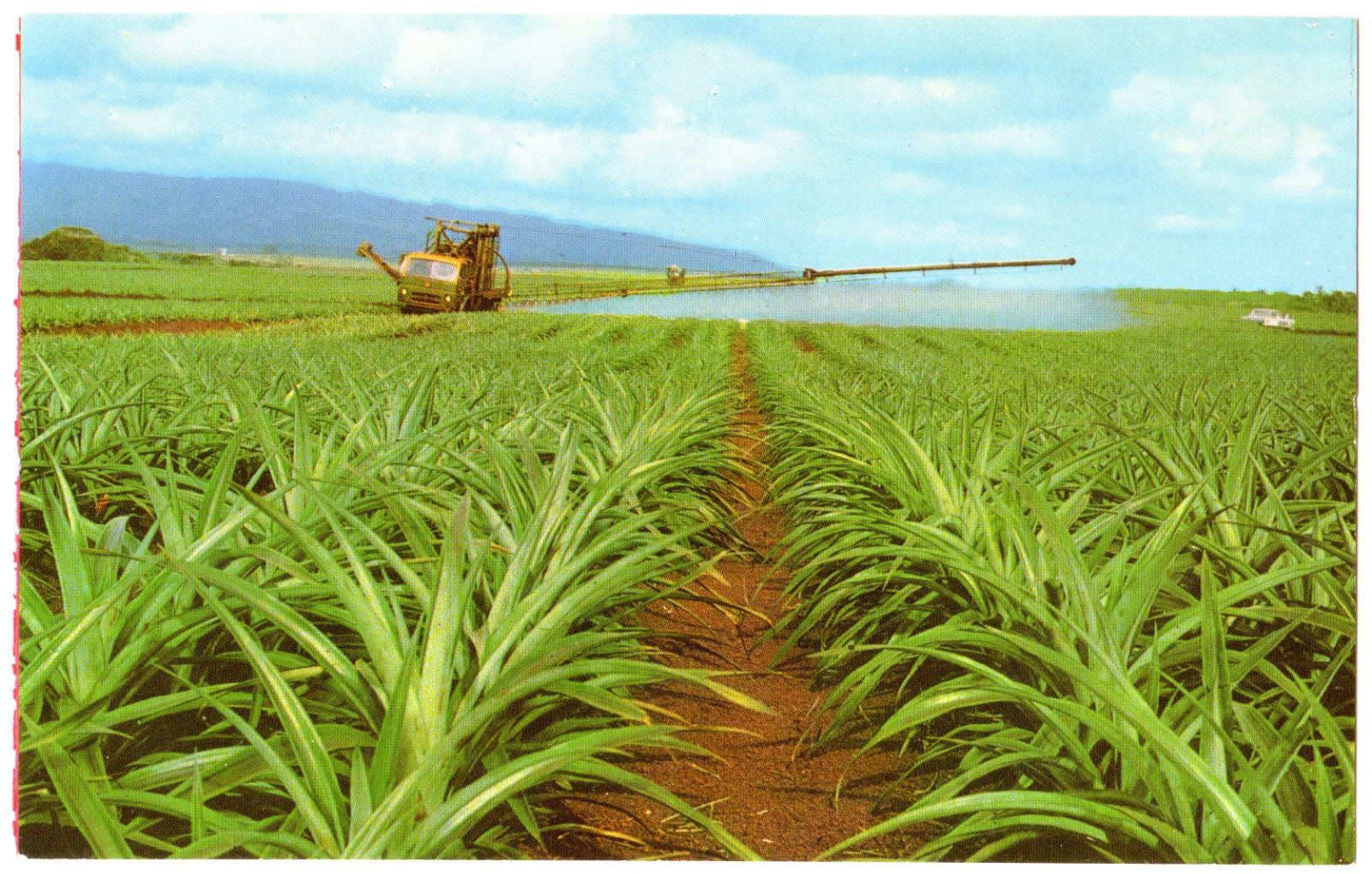 HAWAII Fertilizer Truck DOLE PINEAPPLE Boom Sprayer VINTAGE 1966 ...