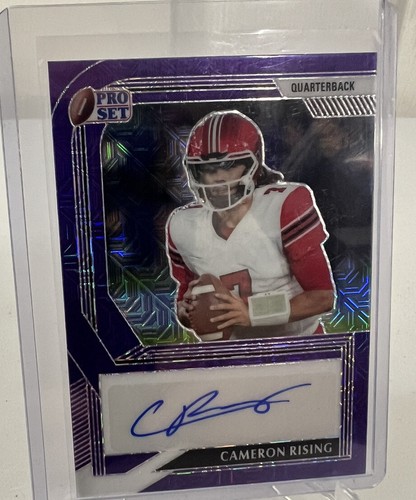 Cam Rising 2022 Feuille Métal Pro Ensemble Violet Mojo Auto RC 8/15 ...