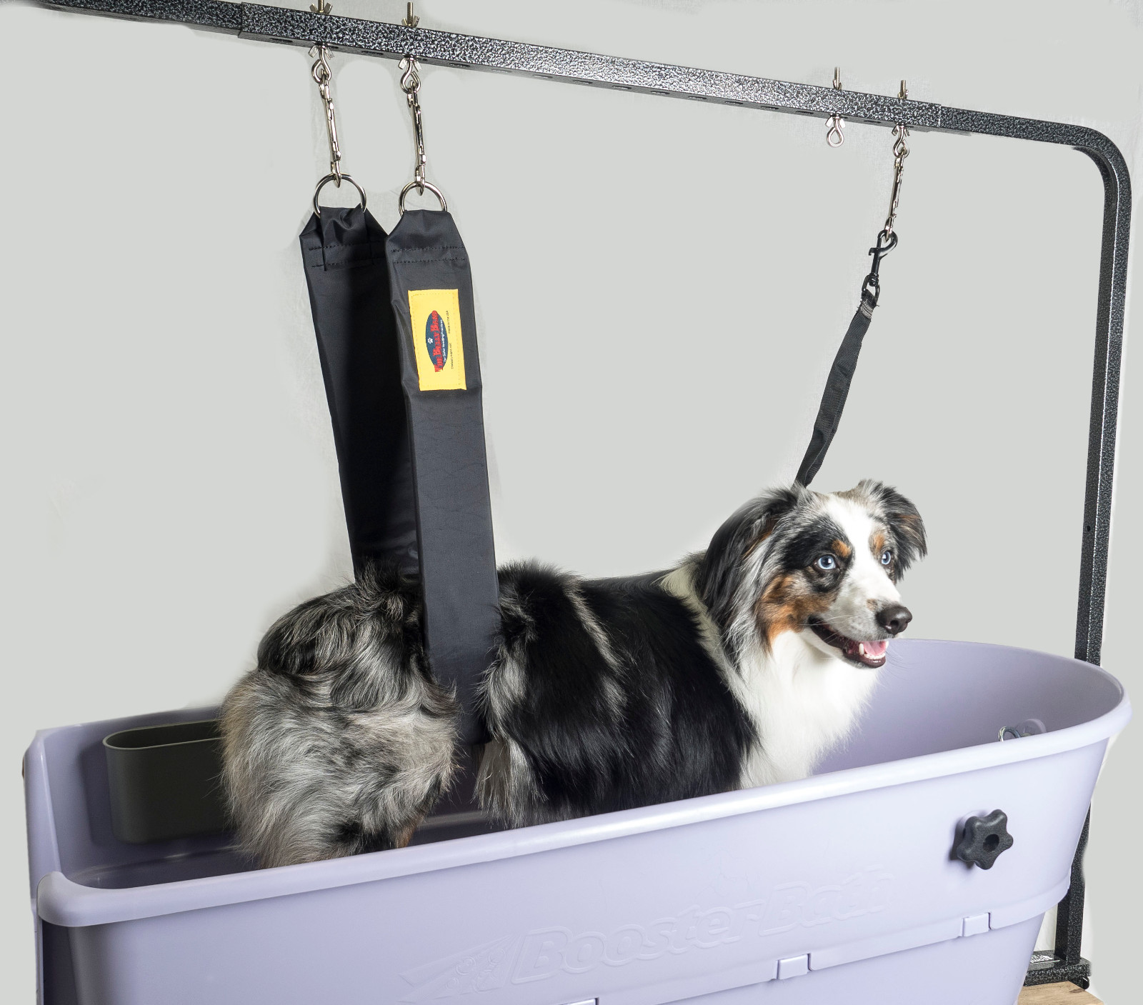 The Belly Band: Pet/Dog Grooming Safety Harness Restraint Loop Band | eBay