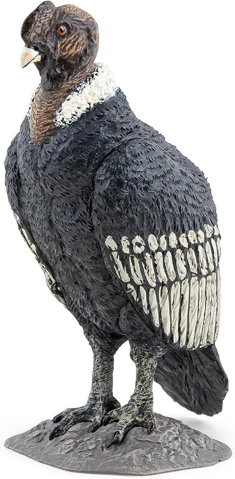 Papo Wild Animal Kingdom Condor Toy Figure Three Years And Above Black ...