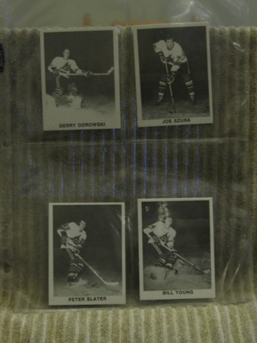 1972-73 Los Angeles Sharks World Hockey Association WHA Complete Team ...