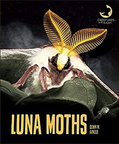 Luna Moths Hardcover Quinn M. Arnold 9781640261198 | eBay