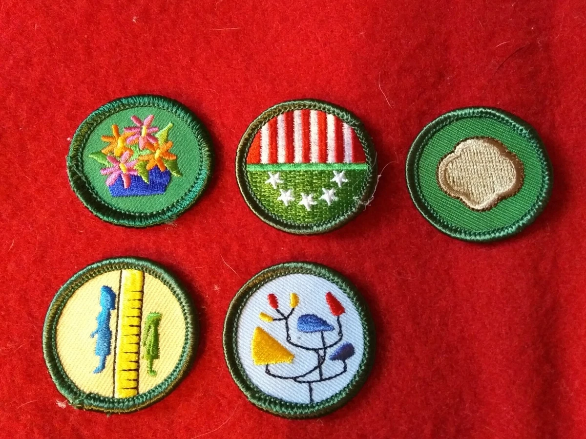 Girl Scout Junior Pin