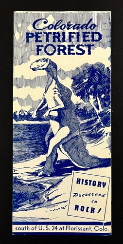 1959 Colorado Petrified Forest Florissant CO Fossil Beds Vintage Travel ...