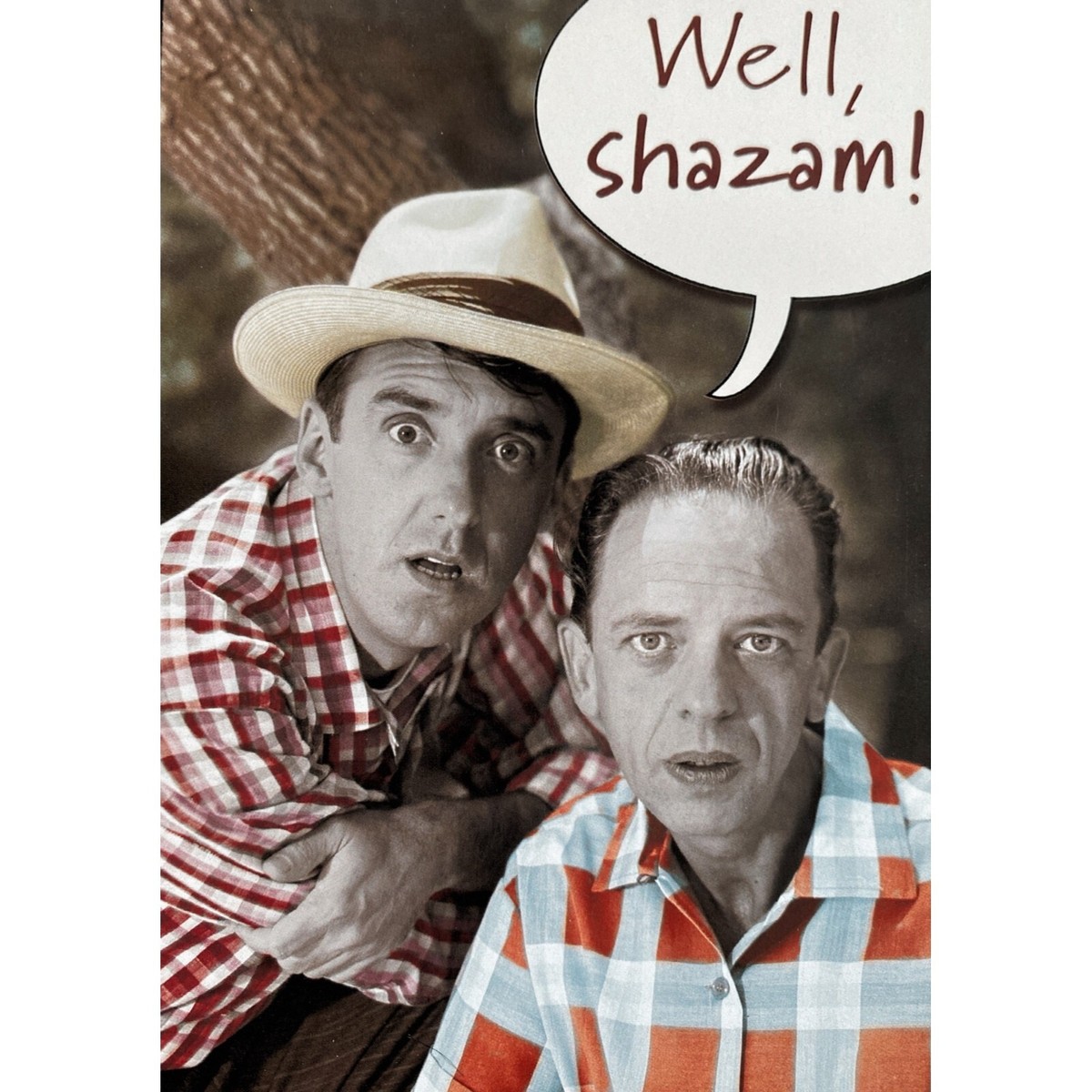 Andy Griffith Birthday Quotes The Andy Griffith Show Season 5 Episodes