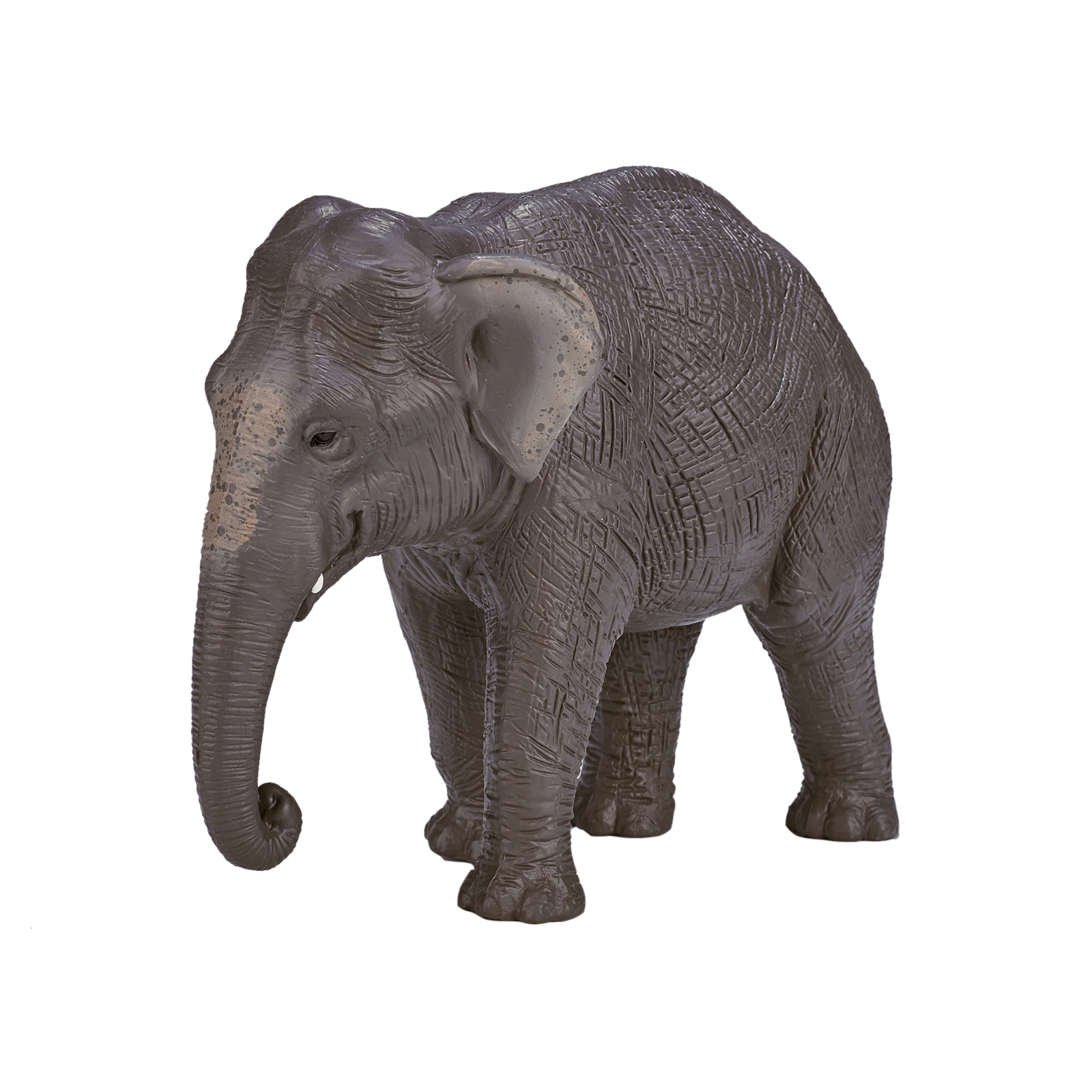 Mojo ASIAN ELEPHANT Wild zoo animal play model figure toy plastic ...