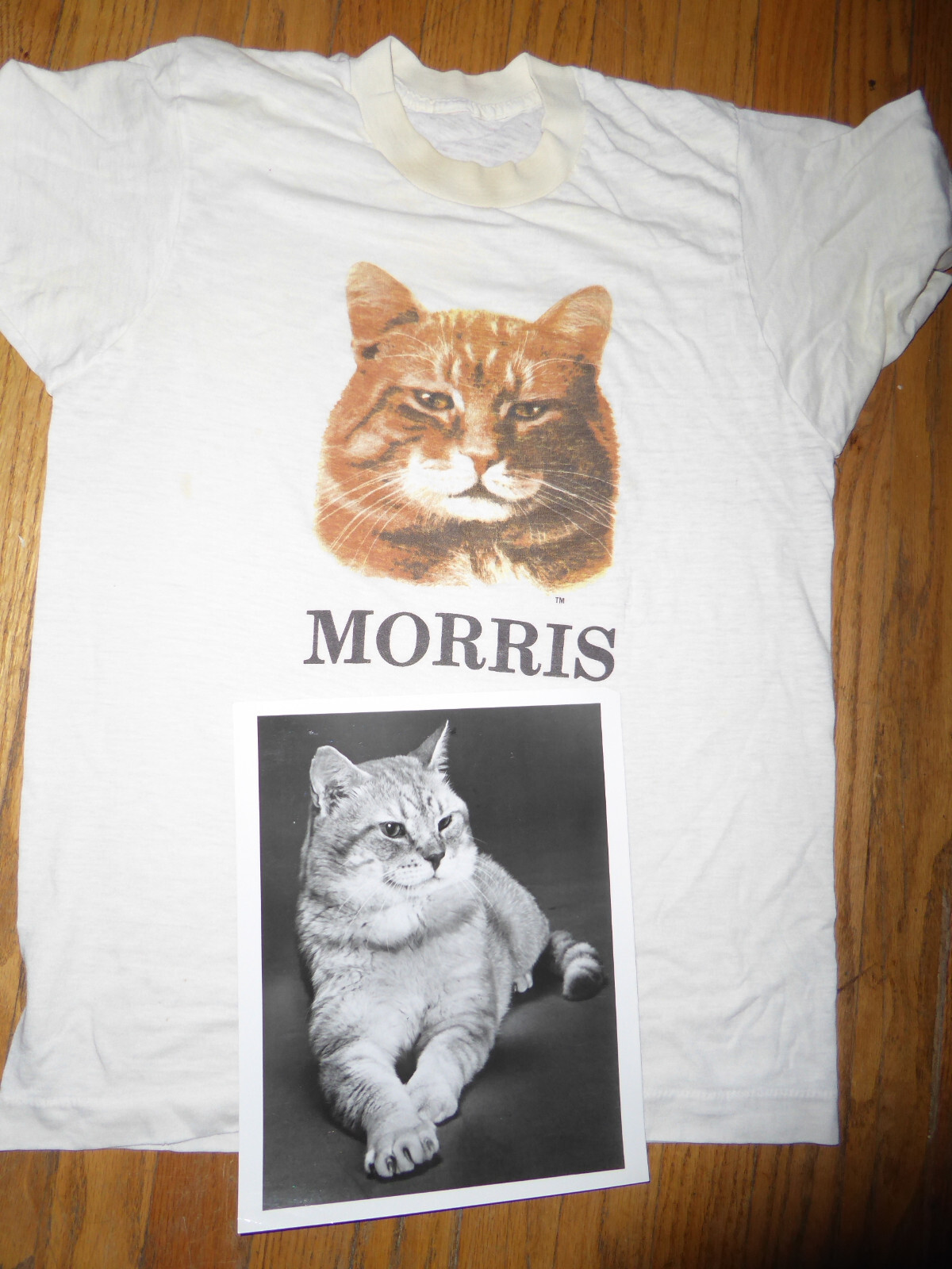 Morris the cat shirt and 8x10 Glossy photo....... 19… - Gem