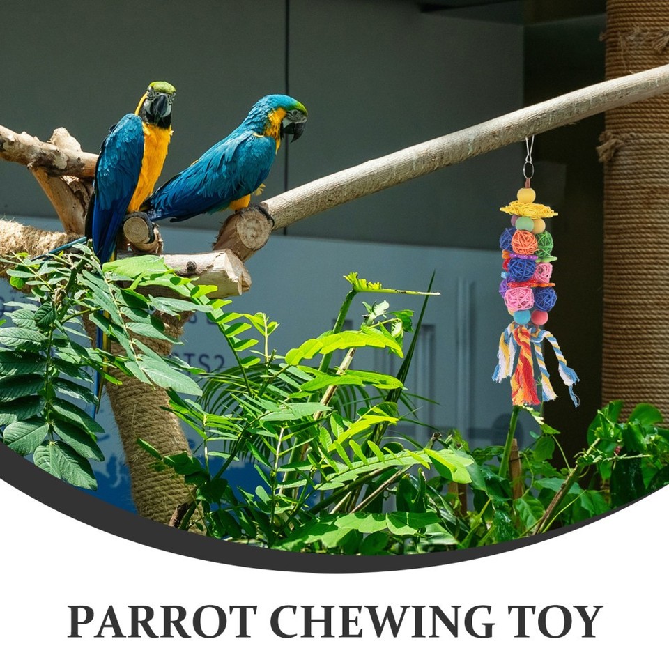 5pcs Parrot Biting Toy Bird Nibbling Plaything Parrot Cage Hanging Toy ...