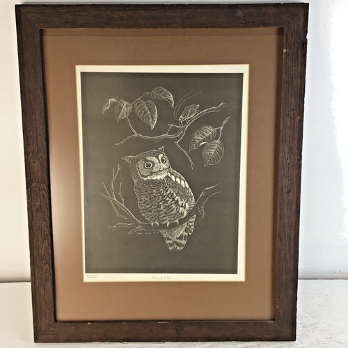 Diane Pierce 1973 Screech Owl Otis Signed Print limited edition | eBay