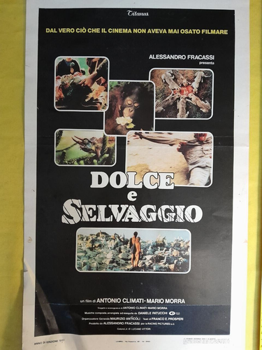 1983 DOLCE E SELVAGGIO - Orig. Italian Locandina Movie Poster T3-12 | eBay