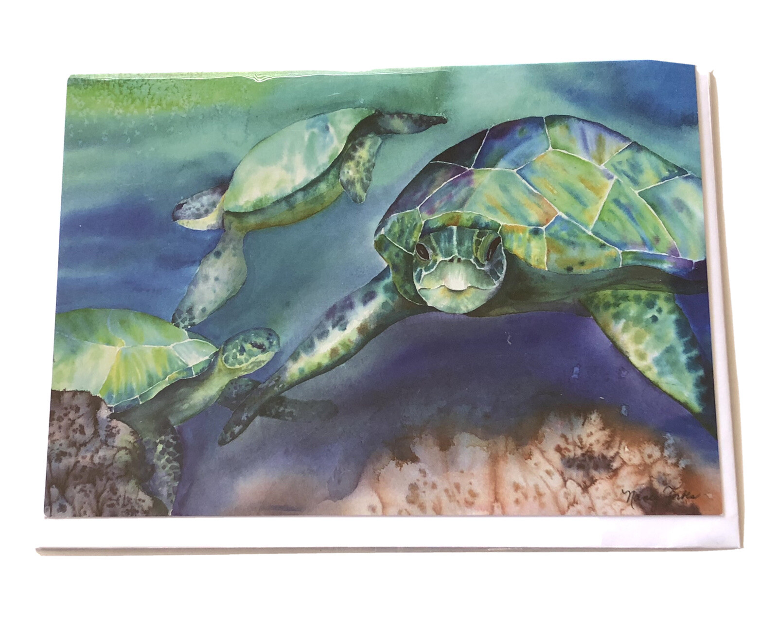 SEA TURTLES Note Card "Three Turtles" Nancy Forbes Banana Patch Studio ...