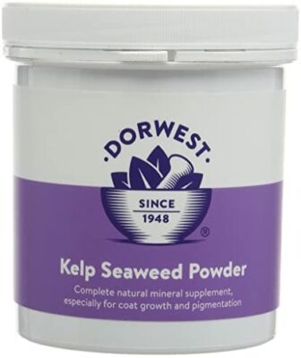 DORWEST HERBS Kelp and Seaweed Powder for Dogs and Cats 250g | eBay UK