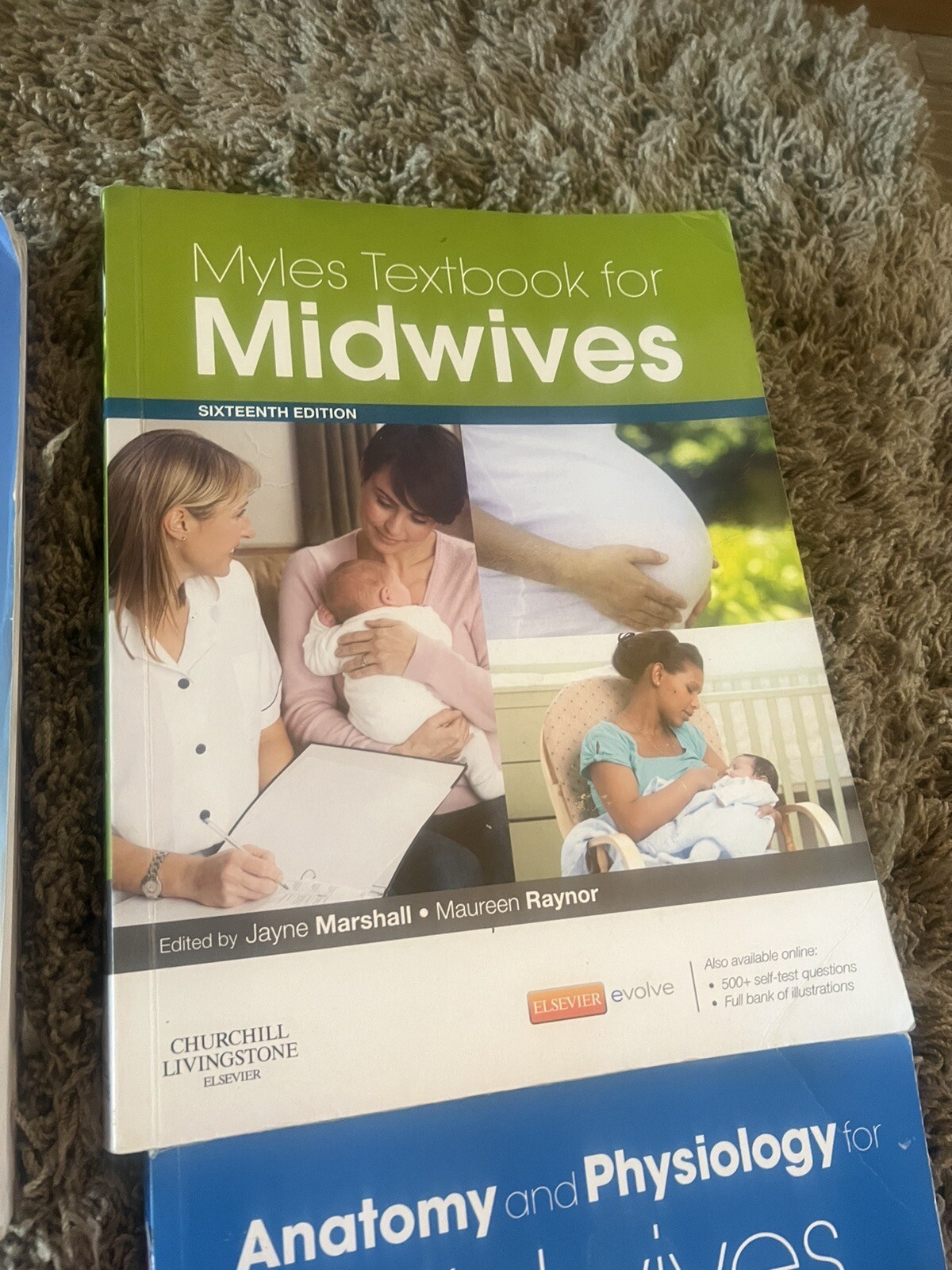 Myles Textbook for Midwives by Jayne E. Marshall, Maureen D. Raynor ...