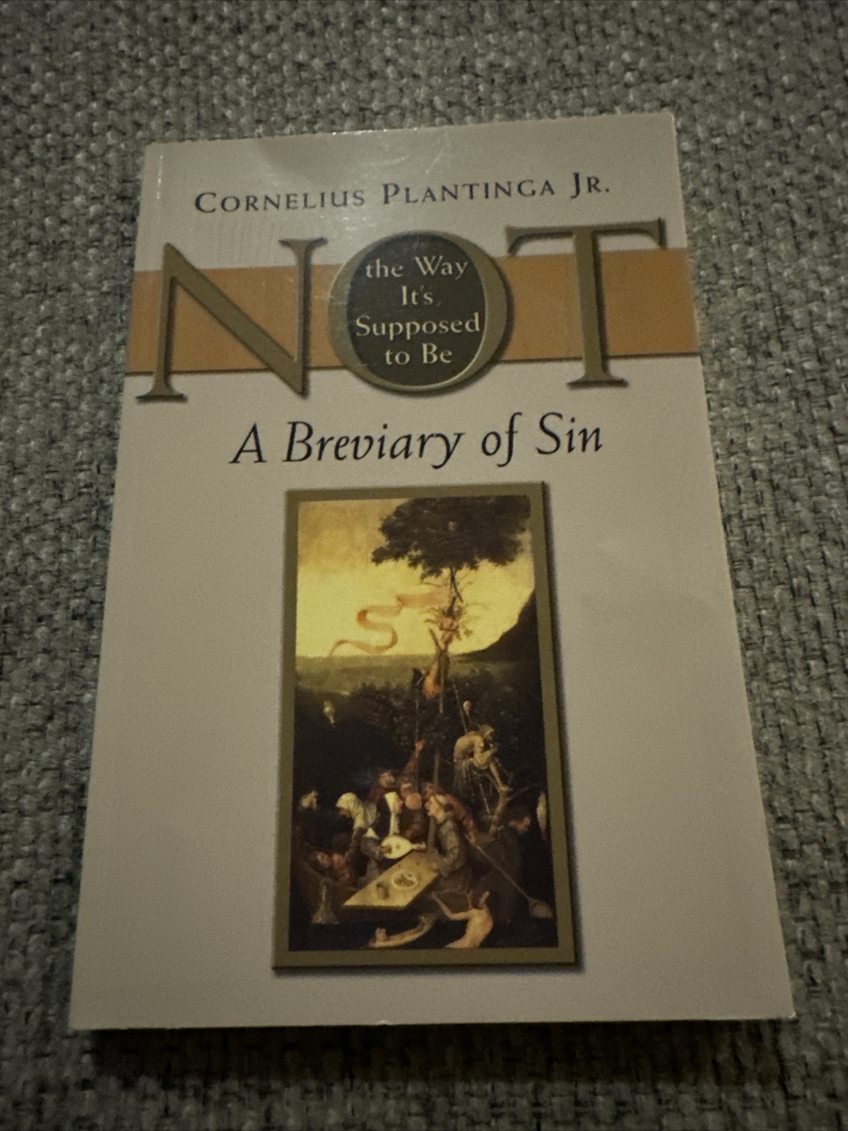 Not the Way It's Supposed to Be : A Breviary of Sin by Cornelius ...