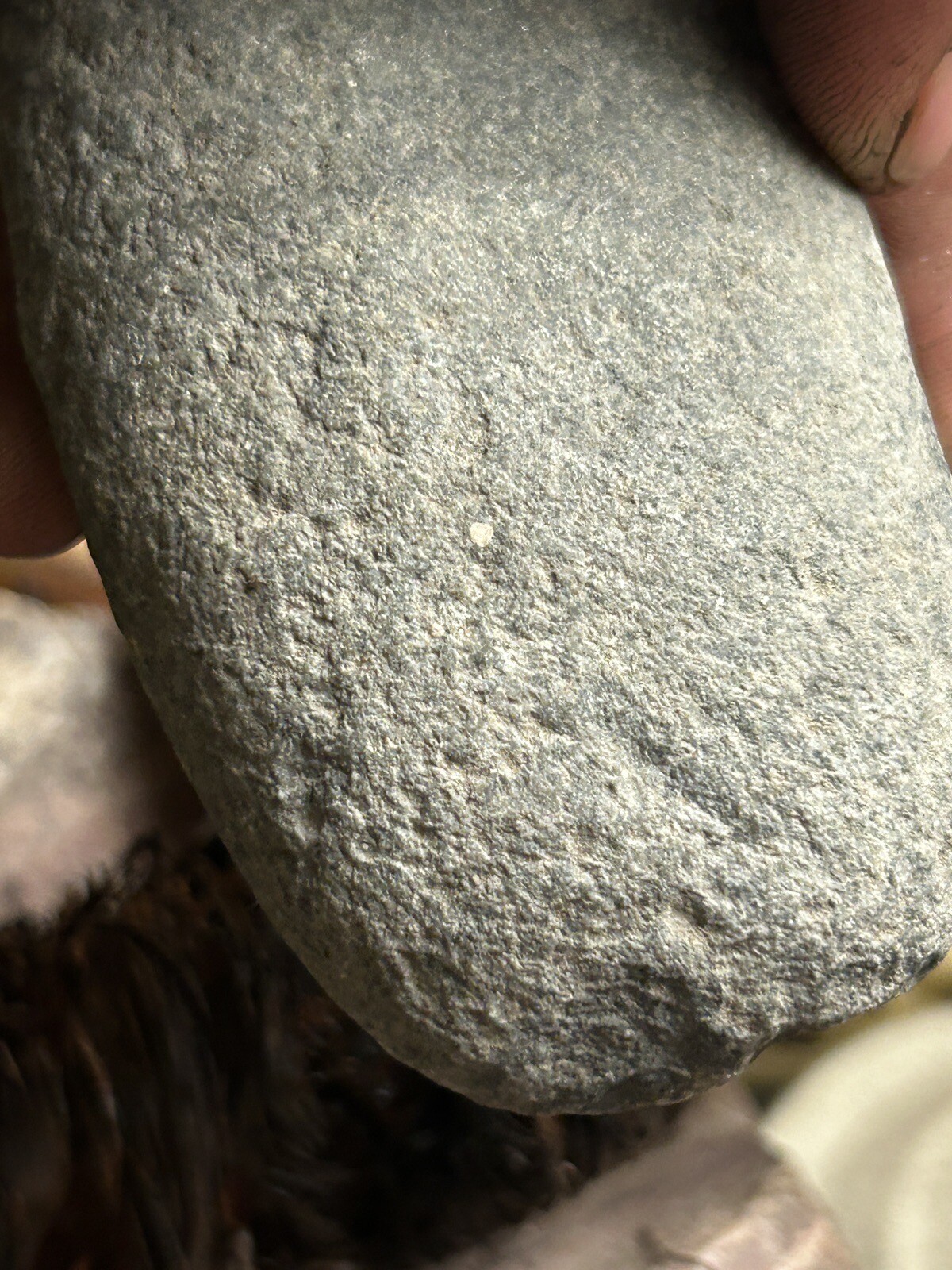 Native American Indian Stone Axe Head Chopping Tool Celt Ancient Rare ...