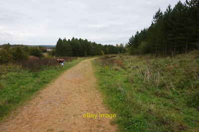 Photo 6x4 Bridleway at Oxclose Wood Mansfield Woodhouse c2016 | eBay UK