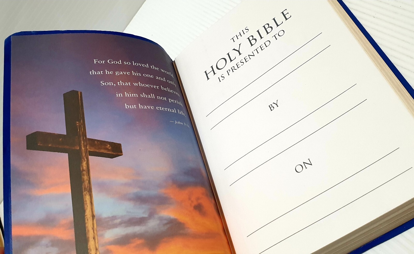 HOLY BIBLE : NIV New International Version ZONDERVAN Australia | eBay