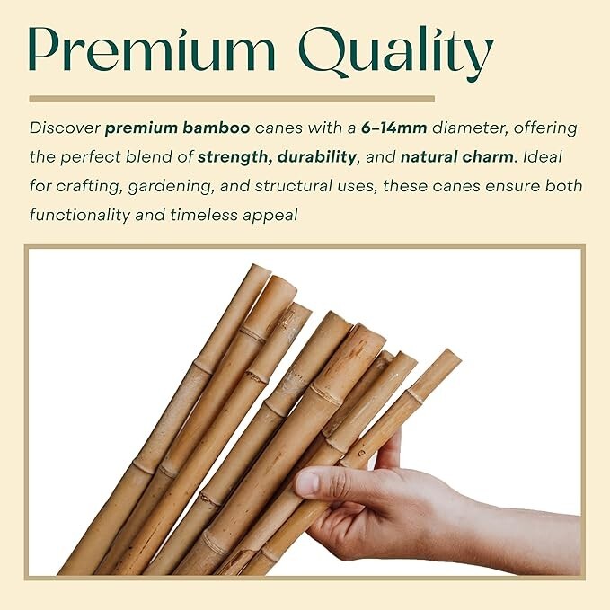 Extra Large Thick Bamboo Canes 2ft-6ft Plants Supporting Pole Sticks ...