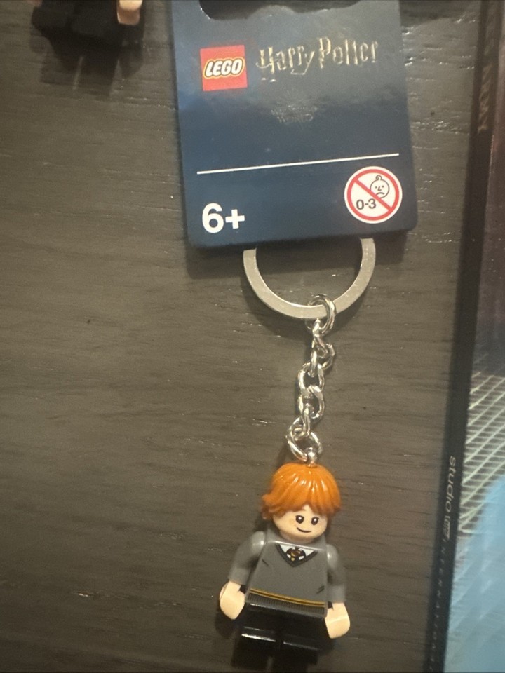 LEGO Harry Potter: Dumbledore's Army Book Plus Universal Orlando ...