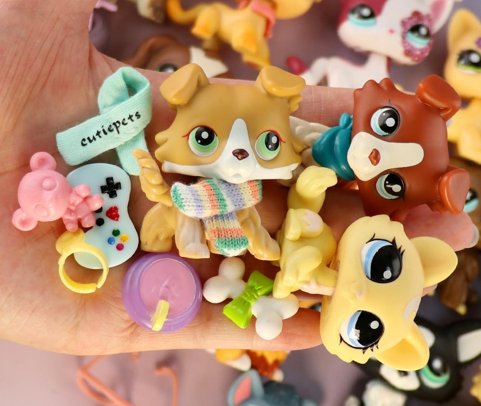 Rare lps Pet Shop Random 1-5pcs Toys and 7pcs Accessories Who Love LPS ...