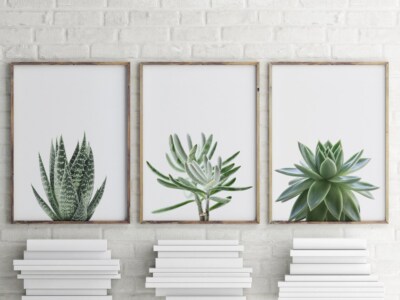 Set of 3 Succulent Prints Botanical Wall Art Leaves Poster Green Leaves ...