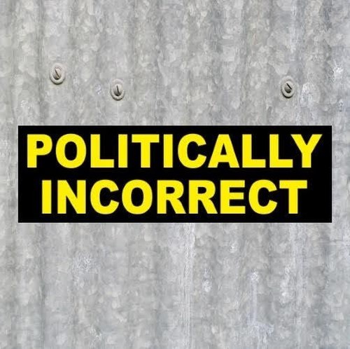 Funny "POLITICALLY INCORRECT" conservative BUMPER STICKER republican ...