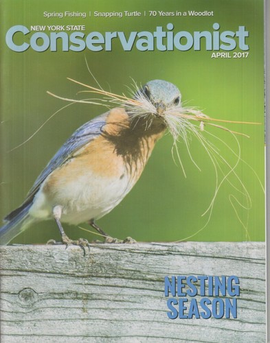 New York State Conservationist April 2017 Nesting Season (Magazine ...