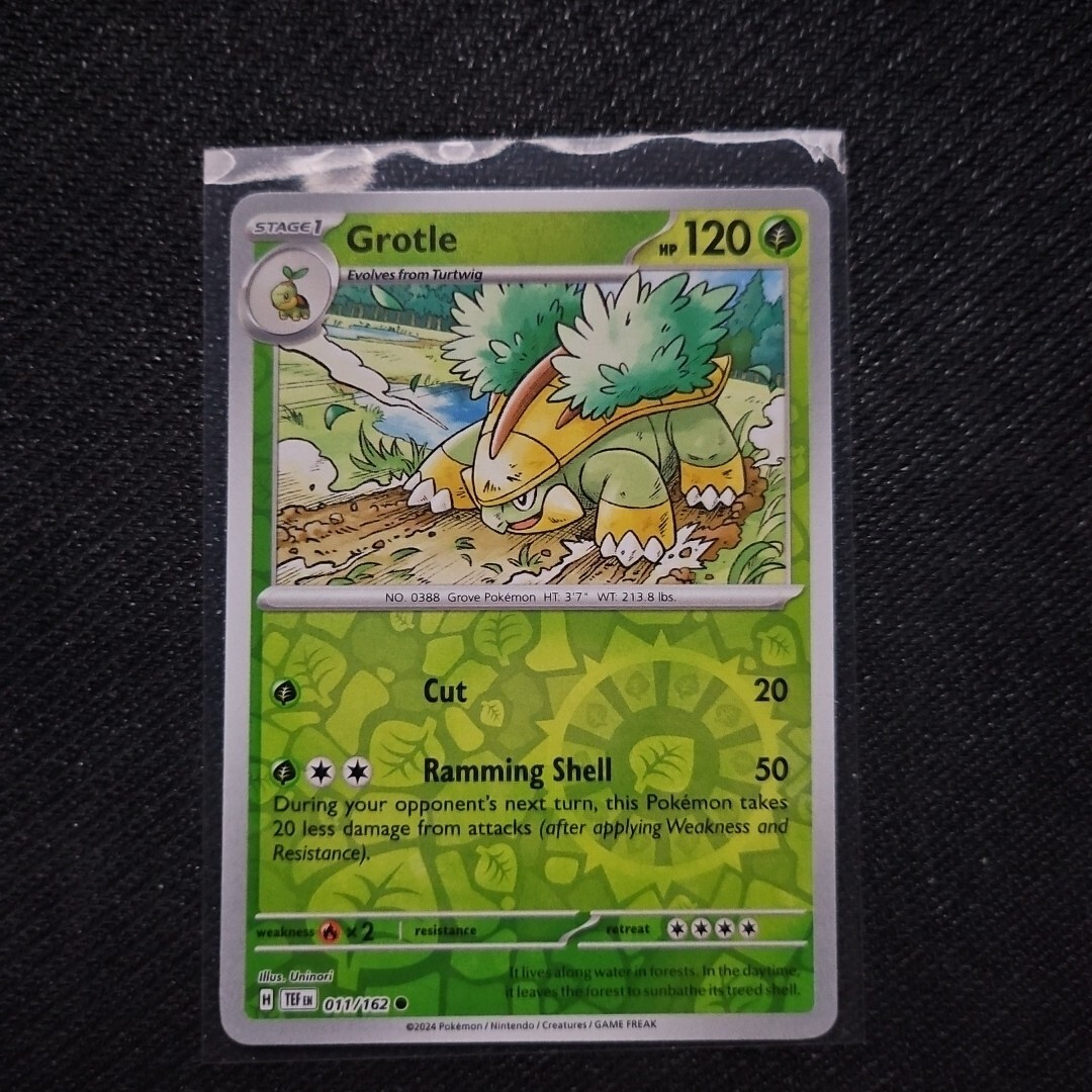 Reverse Holo Grotle - 011/162 Common Temporal Forces | eBay