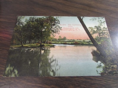 THE SWIMMING POOL - SHAWANGUNK KILL - BLOOMINGBURG N.Y. - POST CARD | eBay