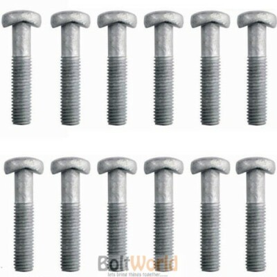 M8 x 40mm SADDLE BOLT, D SECTION PALISADE FENCING SECURITY NUT SHEAR ...