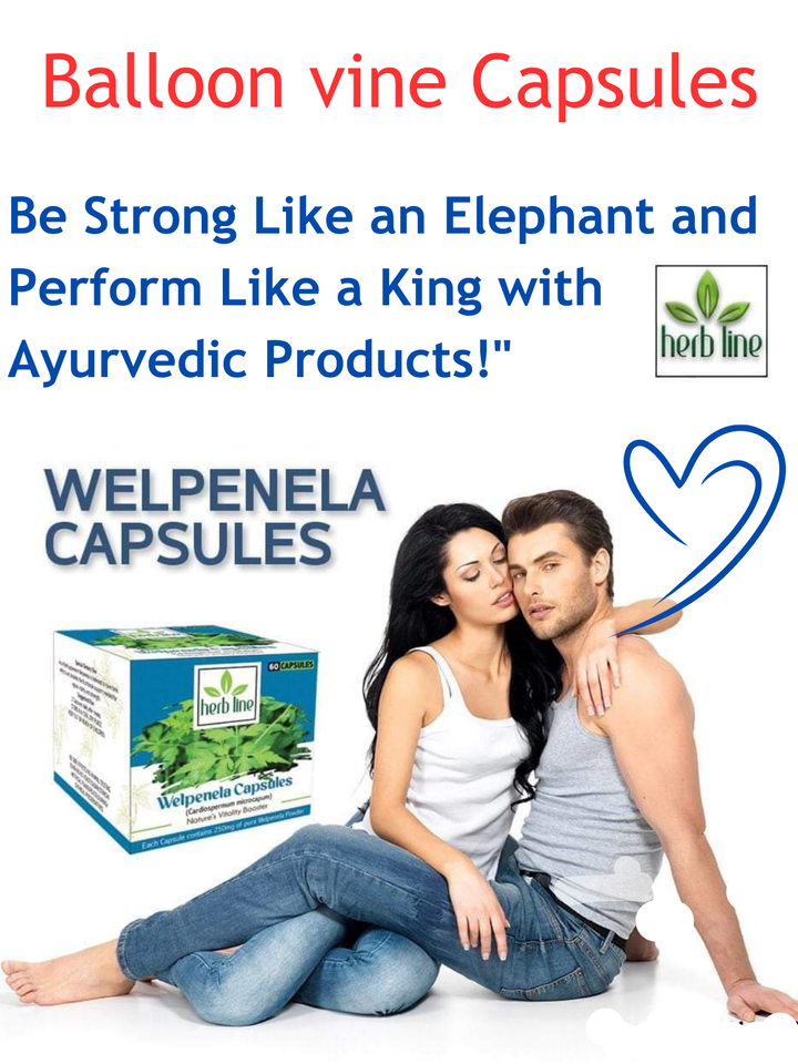 60 Ayurvedic Capsules Love in a Puff, Heart Seeds, (Cardiospermum ...