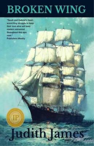 Judith James Broken Wing (Poche) 9780992050467 | eBay