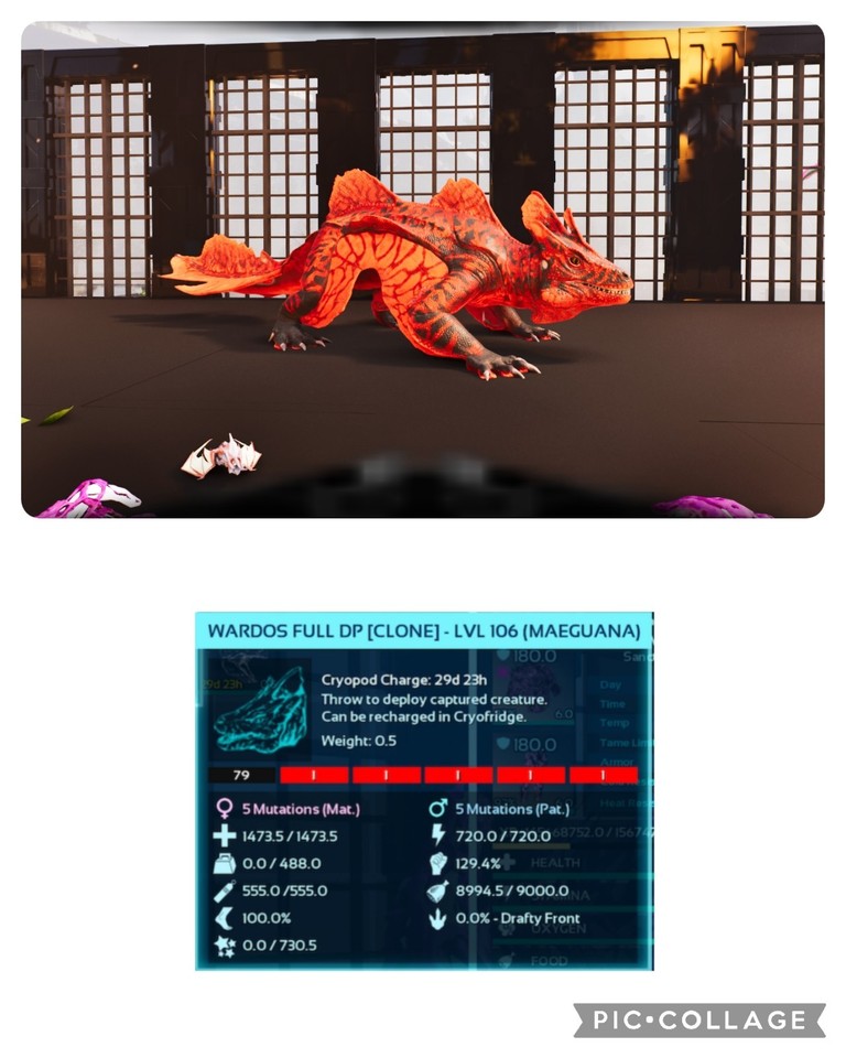 ark survival ascended pve DEADPOOL MEAGUANA CLONE | eBay