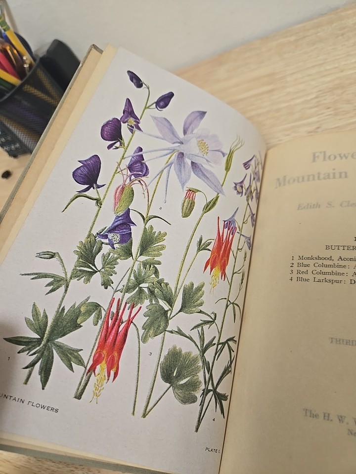 1945 Vintage Book: Flowers Of Mountain & Plain By Edith Clements | eBay