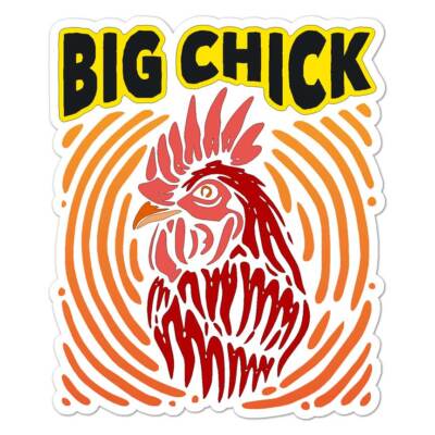 Big Chick, Vinyl Decal Sticker, Indoor Outdoor, 3 Sizes, #8561 | eBay