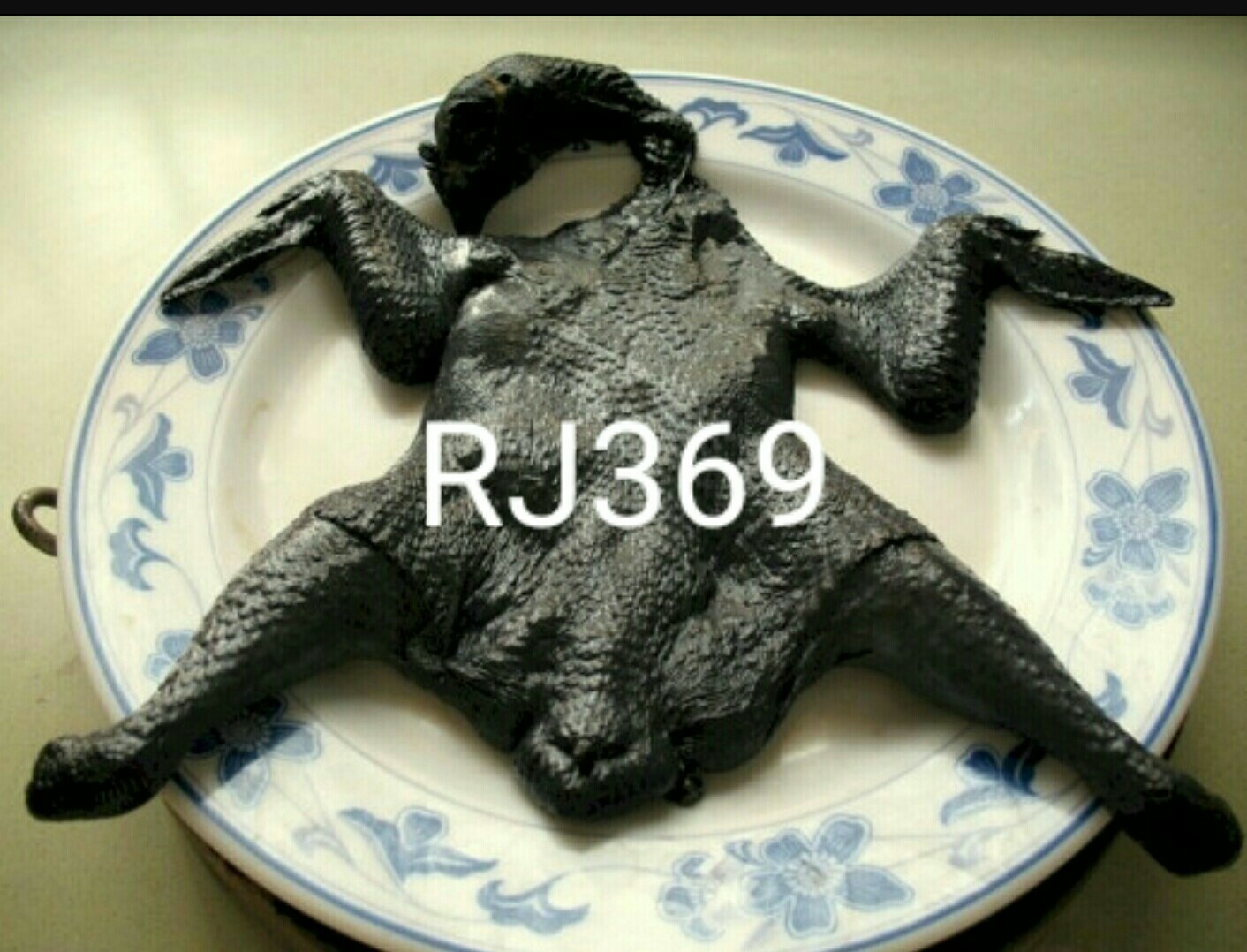 1 Pure Ayam Cemani Fertile Hatching Egg Totally Black Exotic Rare Breed ...