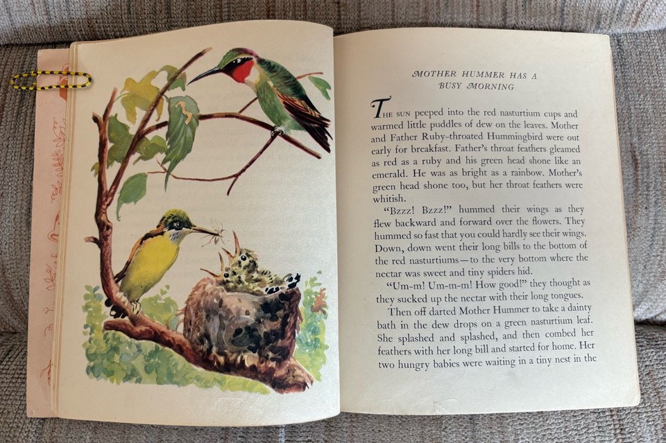 3 LITTLE GOLDEN BOOKS 1st ed, 1st print LIVELY LITTLE RABBIT,DAY IN ...