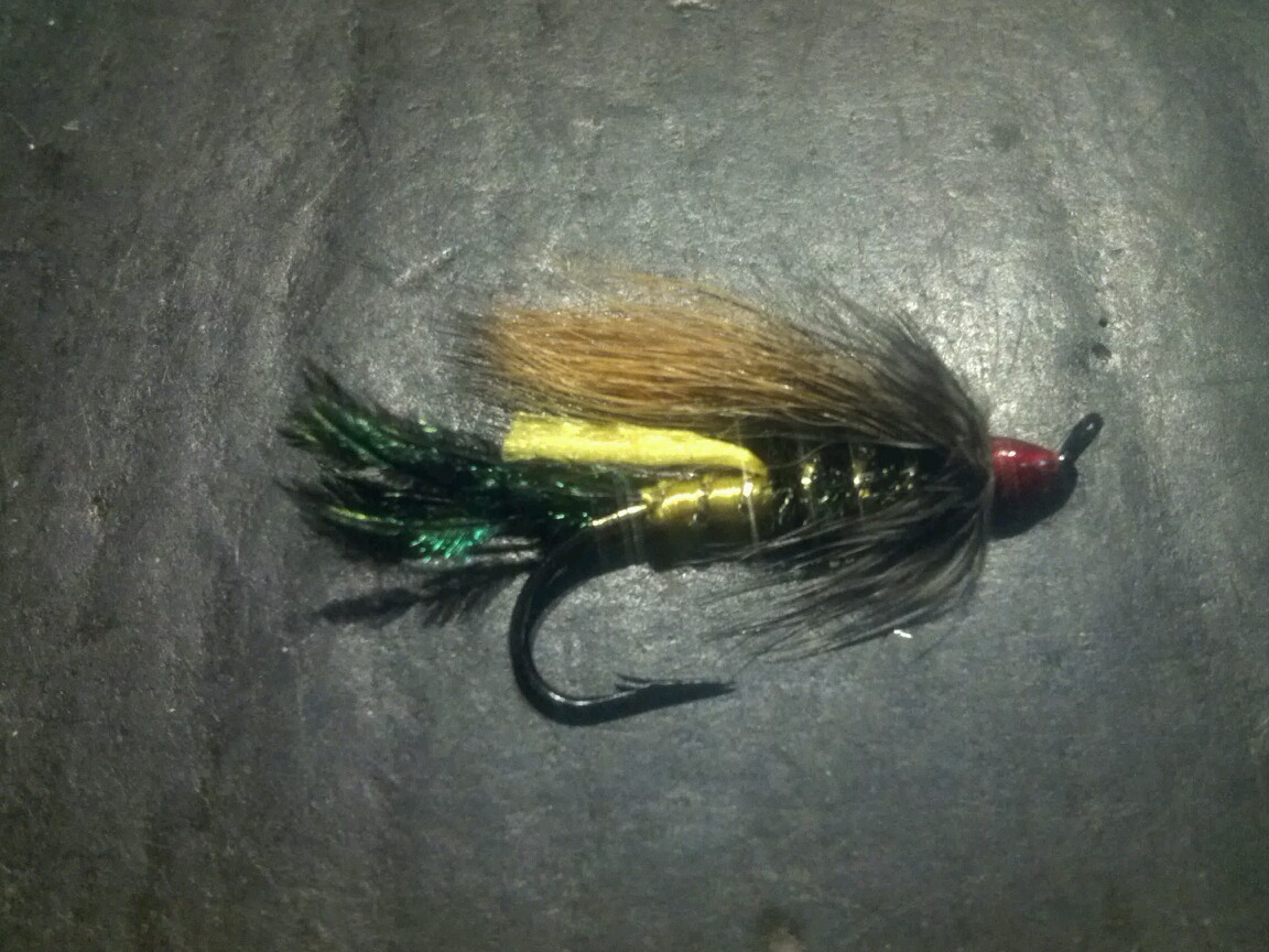 6 RUSTY RAT SIZE 8 SALMON FLY FISHING FLIES LIGAS | eBay