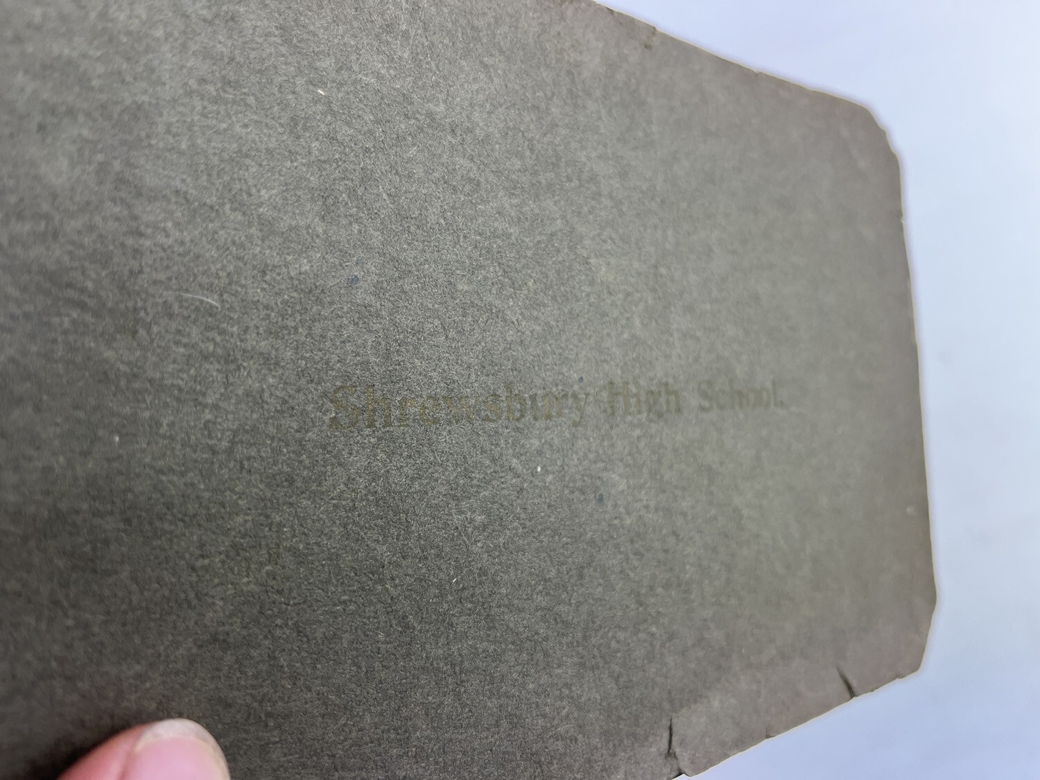 ANTIQUE SHREWSBURY GIRLS HIGH SCHOOL PHOTO ALBUM~ETHEL GAVIN/SHROPSHIRE ...