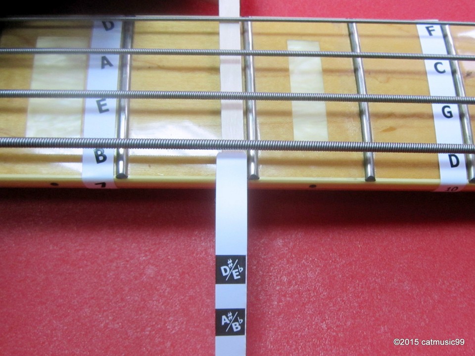 Bass Guitar Fretboard Note Labels Fret Stickers + Online Lessons ...