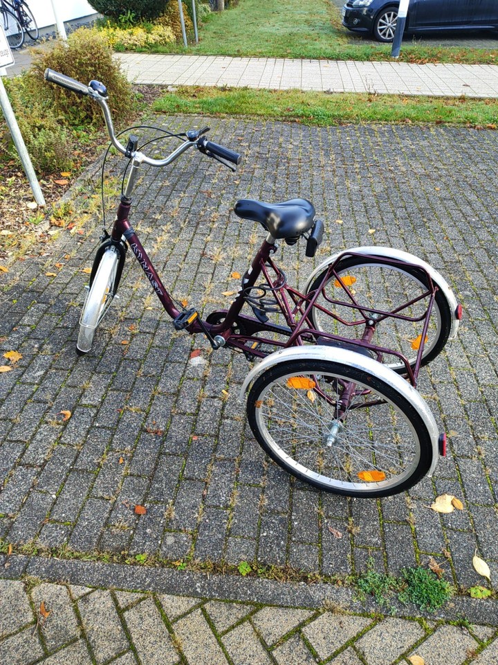 Kynast Dreirad Für Erwachsene/ Senioren | eBay.de